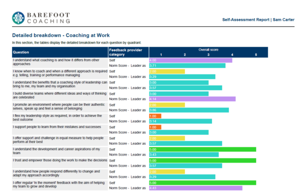 Leader as Coach - Barefoot Coaching