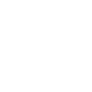 Coach Development - Barefoot Coaching